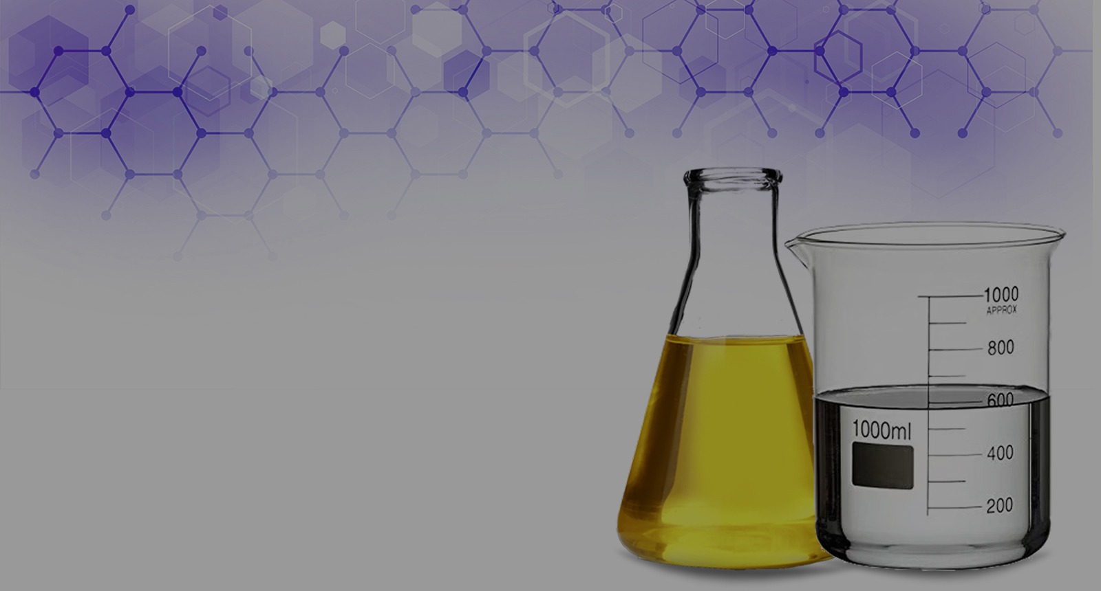 Alpine Express - Transportation Services