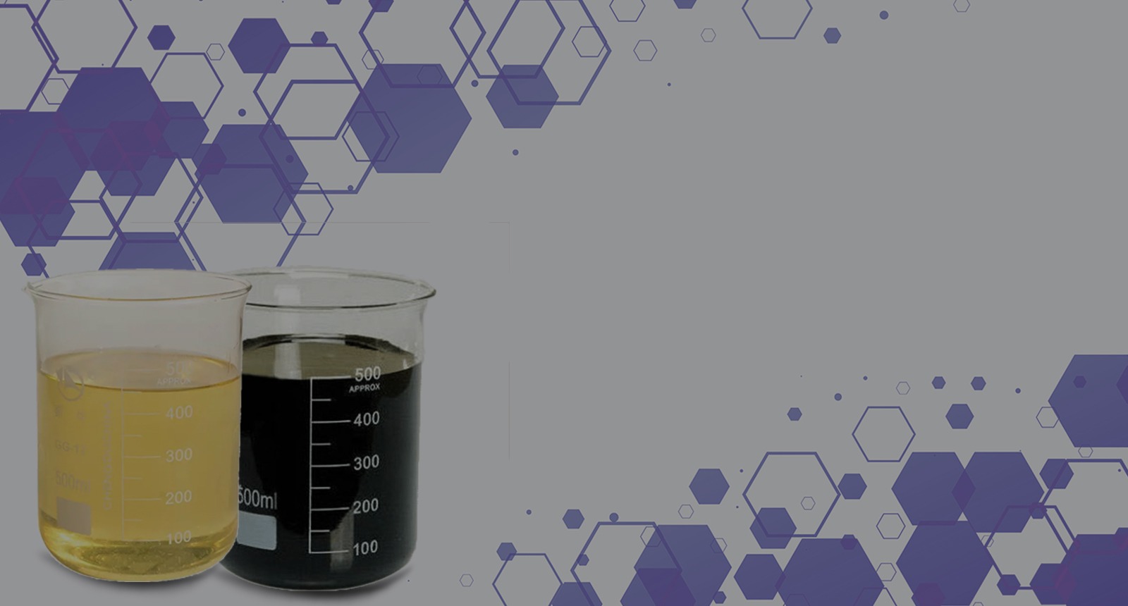 Alpine Express - Transportation Services